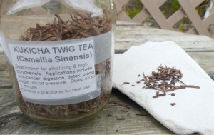 Edible Wild Food Blog » Kukicha Tea – Alkalizing Your Way to Good Health