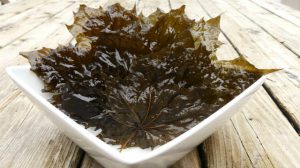 Edible Wild Food Blog » Edible Maple Leaves: Deep Fried and Delicious