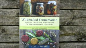 Edible Wild Food Blog » Wildcrafted Fermentation