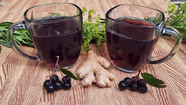 Aronia Goldenrod Tea Recipe
